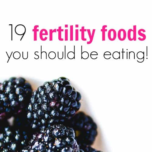 The Best Foods That Increase Fertility | Seaside Sundays