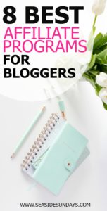 The Best Affiliate Networks That Accept New Bloggers!