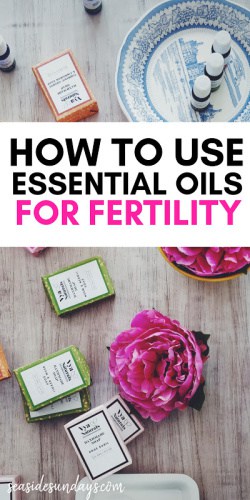 How To Use Essential Oils For Fertility Seaside Sundays