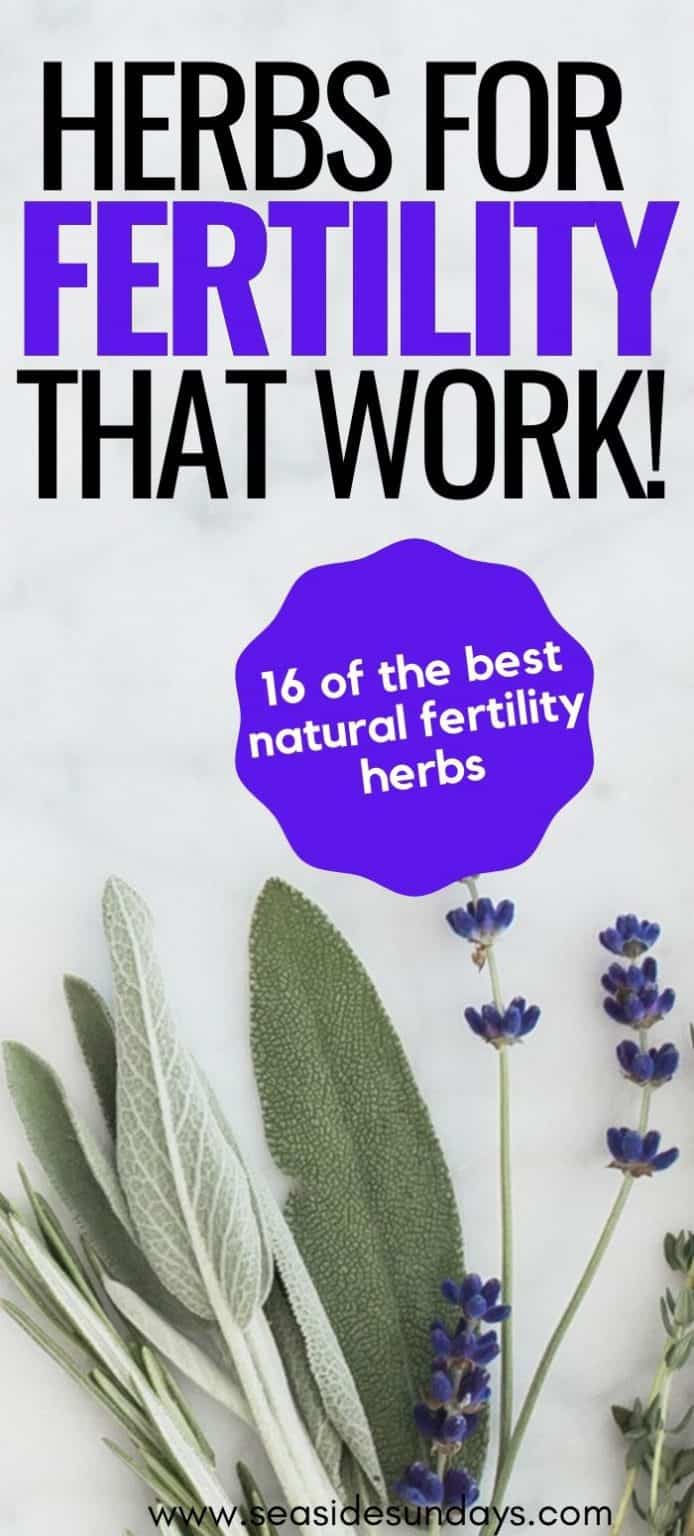 16 Fertility Herbs To Help You Get Pregnant Fast