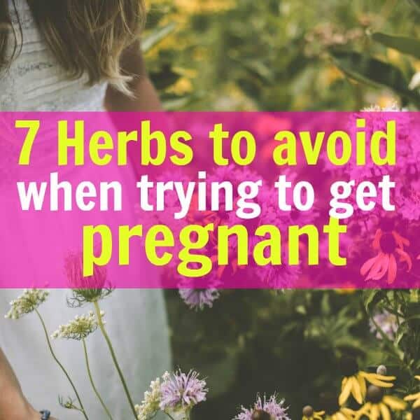 Essential Oils And Herbs To Avoid While Trying To Conceive