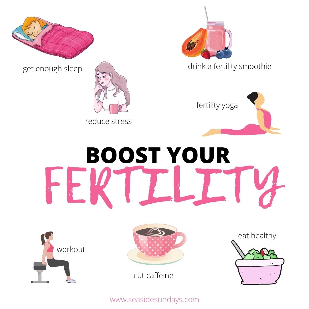 Free 14 Day Fertility Diet Meal Plan