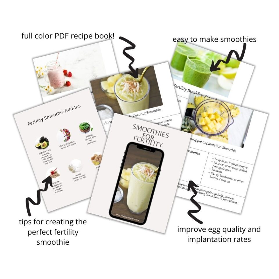 Free Fertility Smoothies PDF Recipe Book
