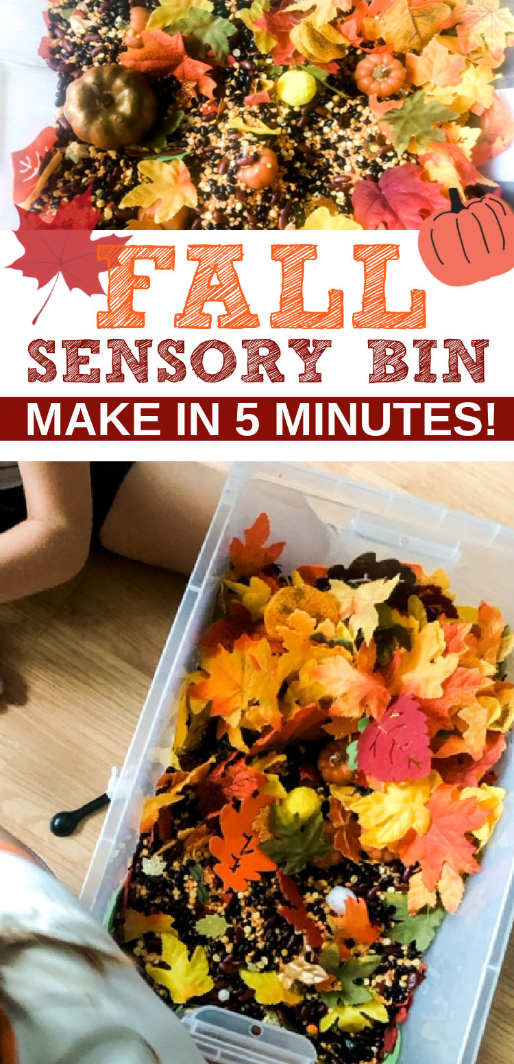 Easy Fall Sensory Bin