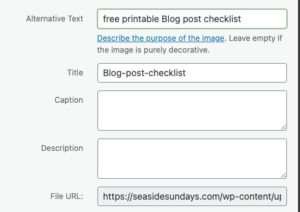 Blog Post Checklist (Step By Step Guide To Writing A Post)