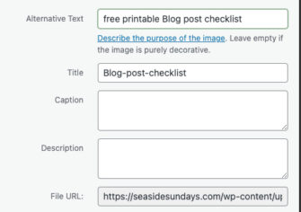 Blog Post Checklist (Step By Step Guide To Writing A Post)