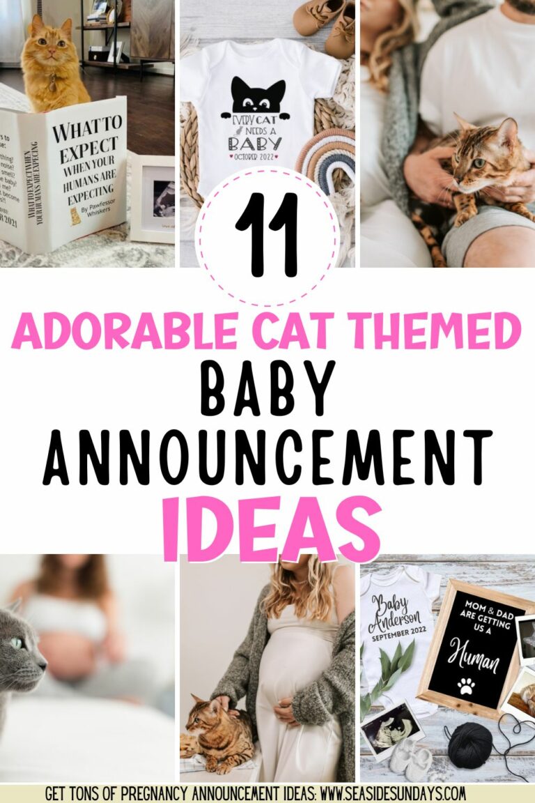 Pregnancy Announcement With Cats (15 Cat Themed Baby Announcements)