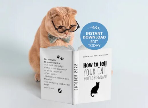 Pregnancy Announcement With Cats (15 Cat Themed Baby Announcements)