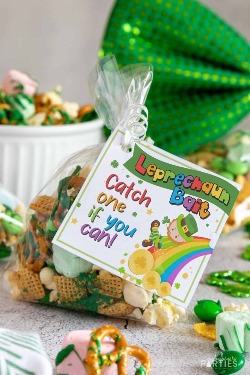15 St Patrick's Day Goodie Bag Ideas