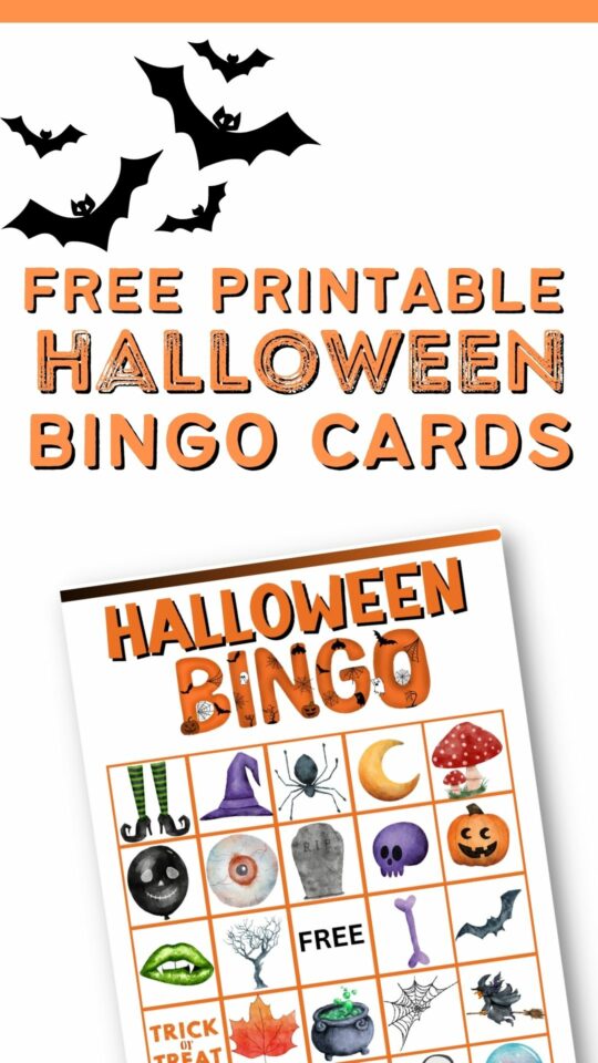 25 Printable Halloween Bingo Cards (Free PDF)