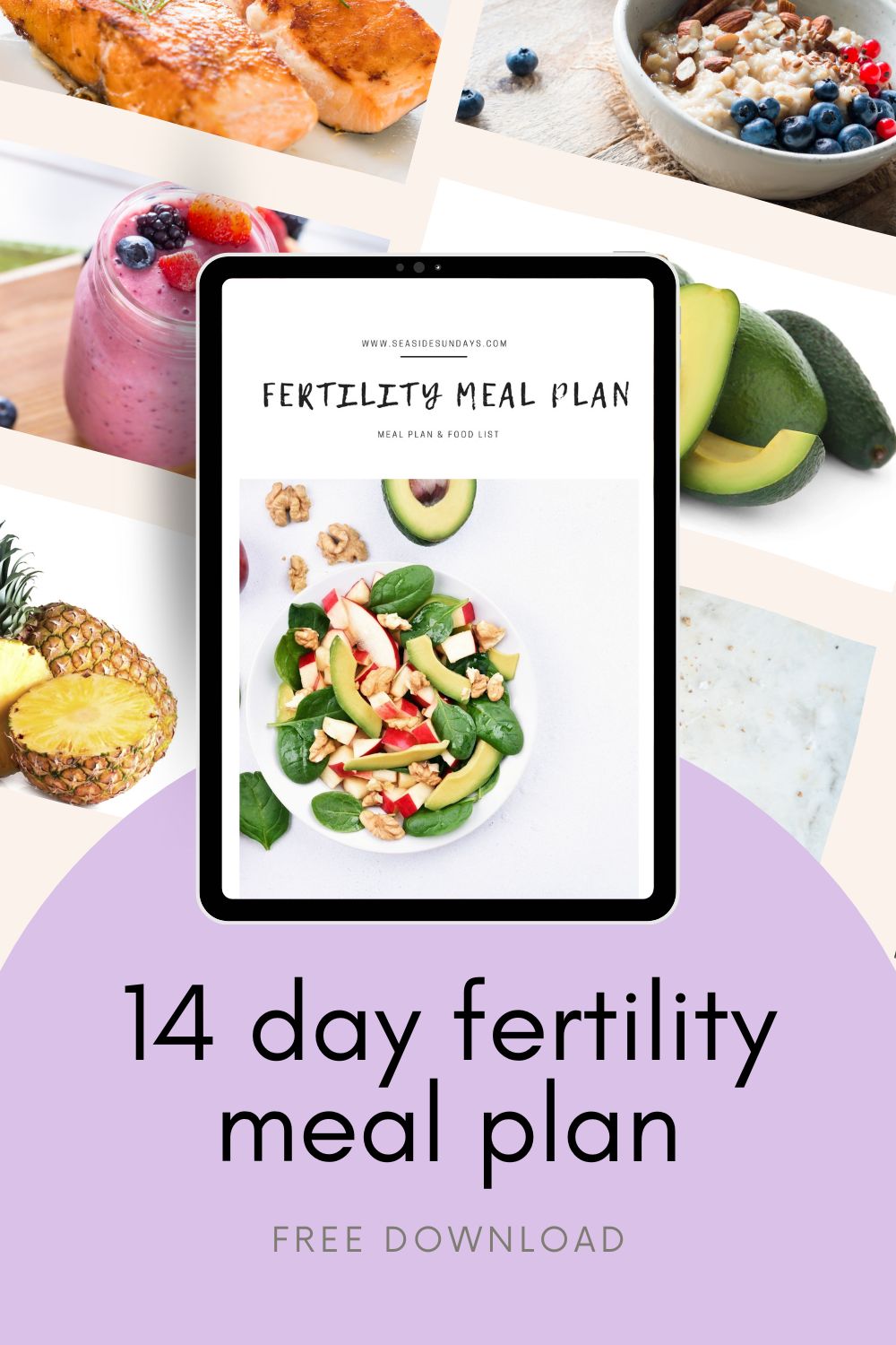 Free 14 Day Fertility Diet Meal Plan