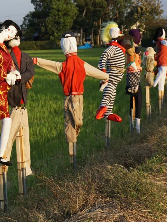 40 Fabulous Fall Festival Ideas For School