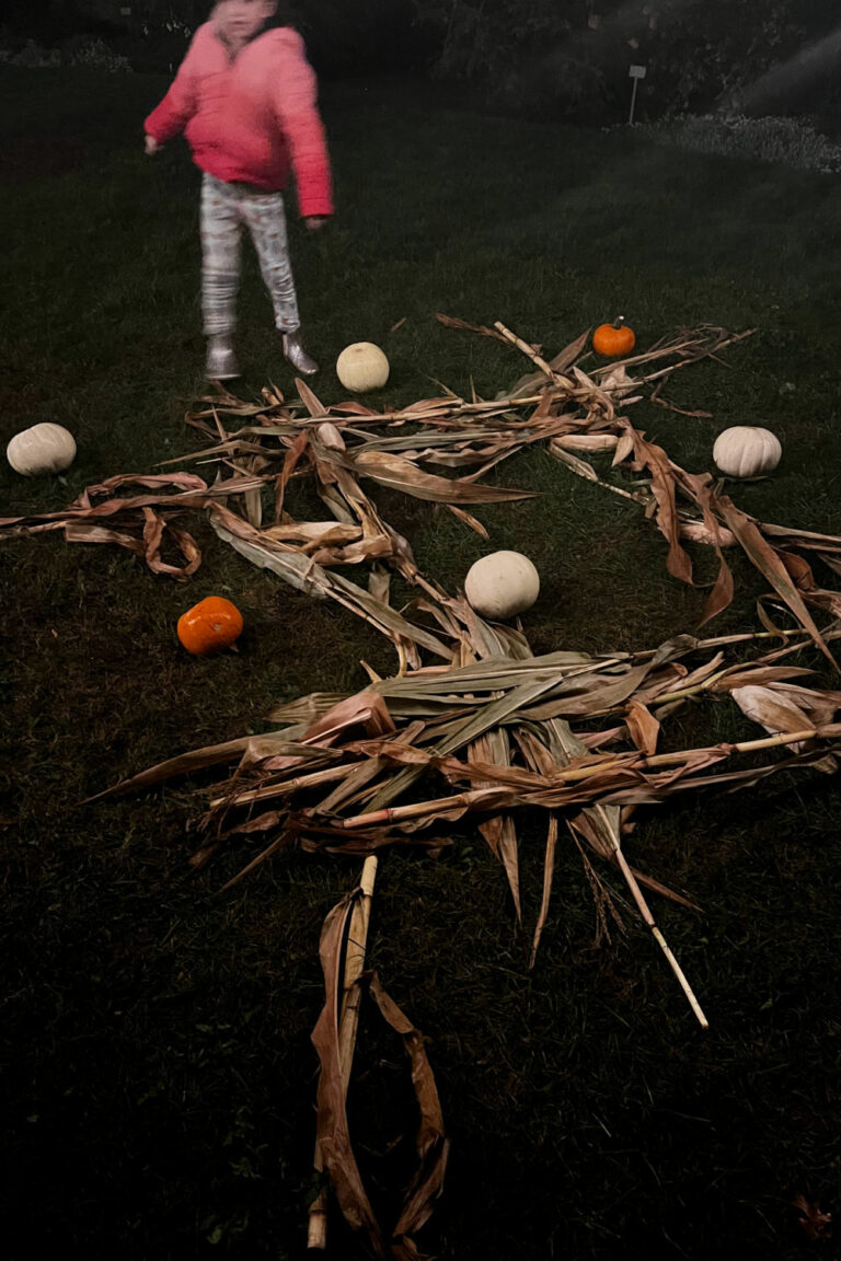 40 Fabulous Fall Festival Ideas For School