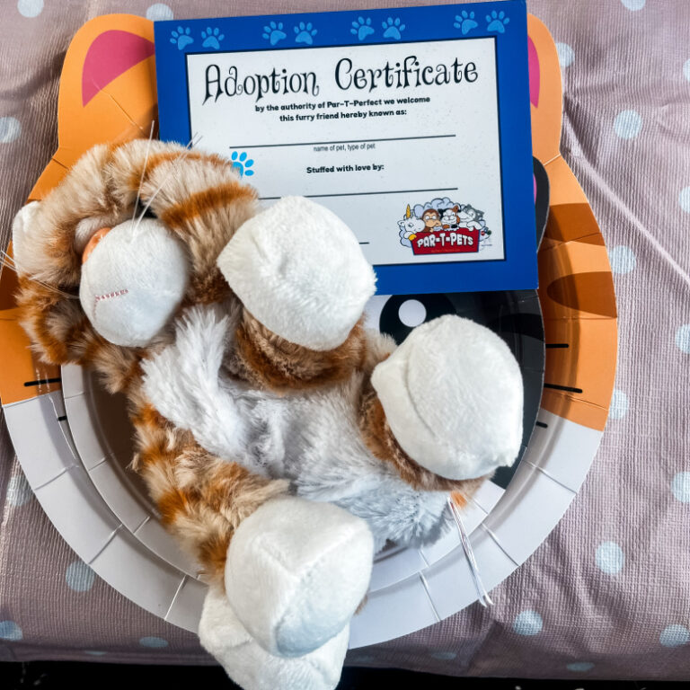 Cat Party Ideas For Kids